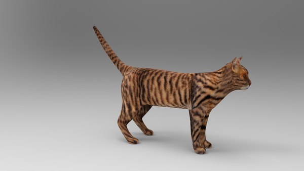 cat ready 3d max