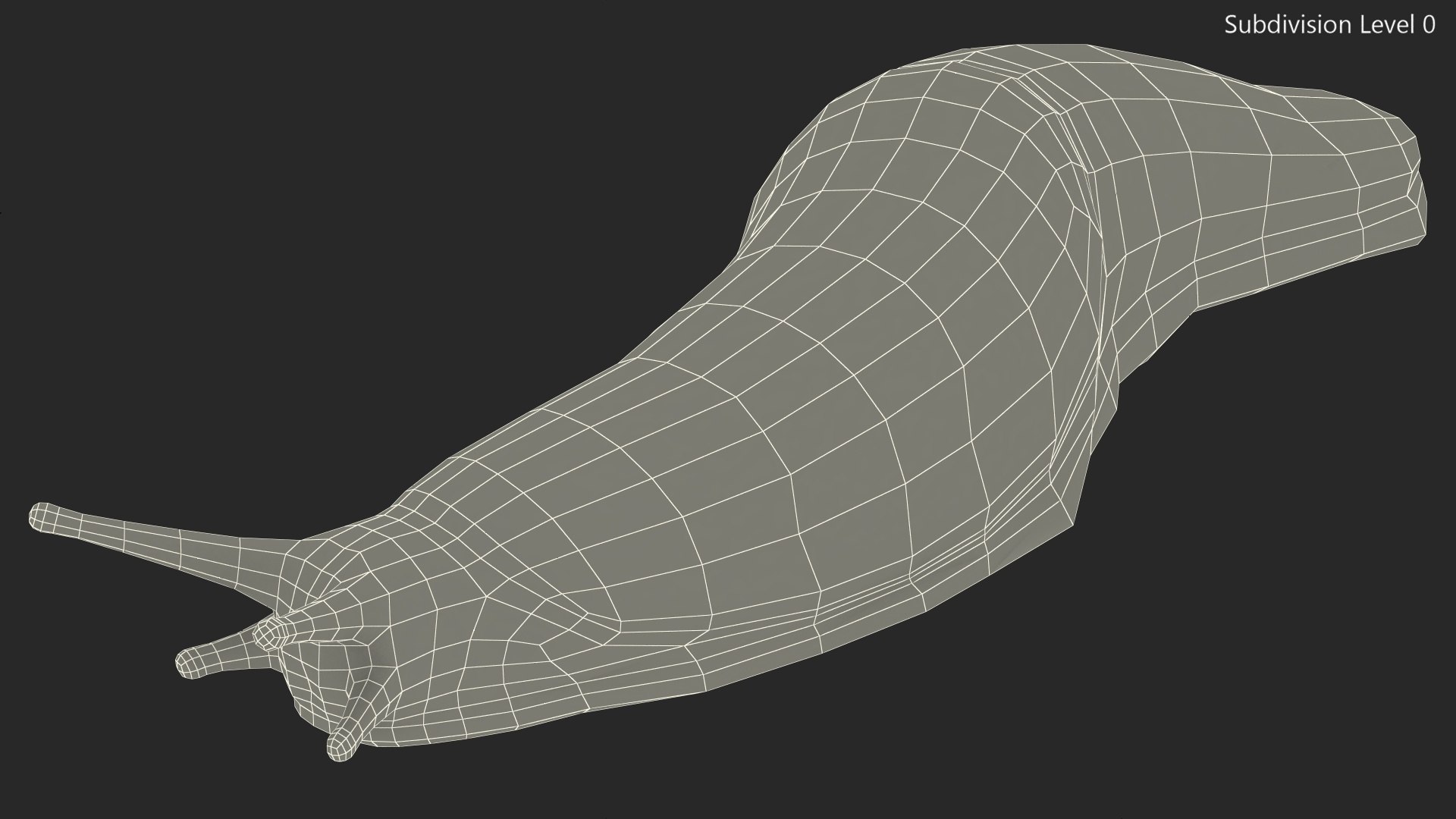 Slug Dusky Arion Lying Model - TurboSquid 2013444
