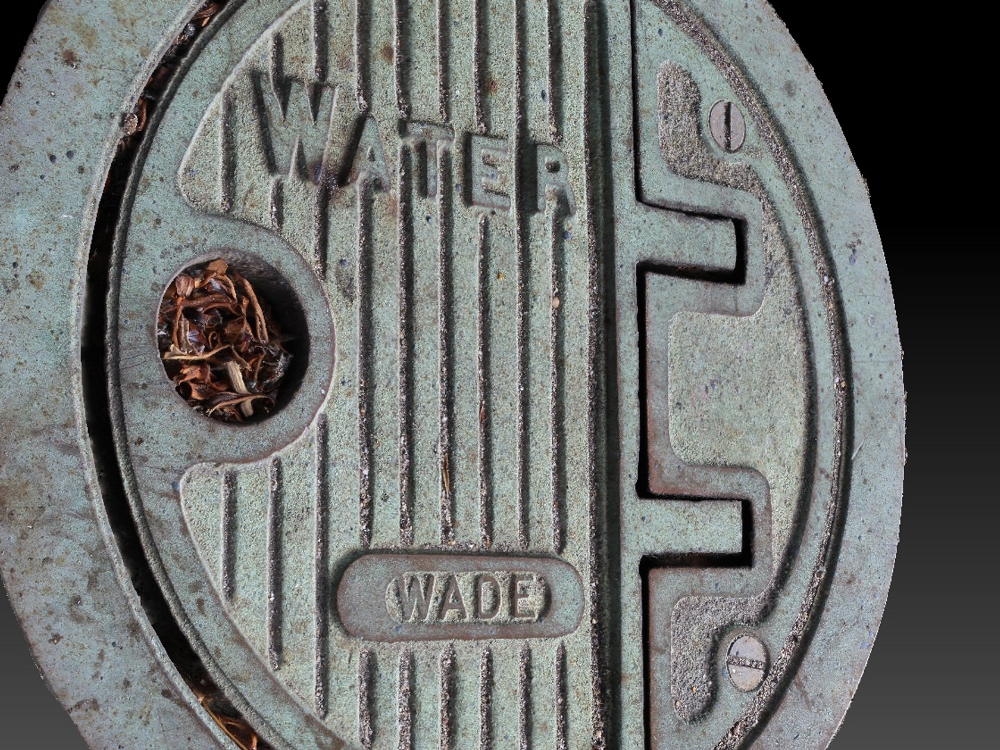 wade water cover obj