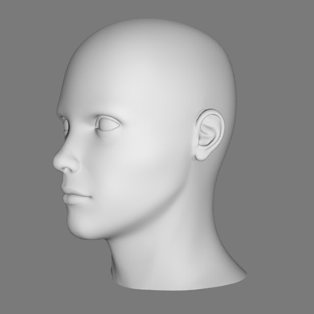 Human Head 3d Model