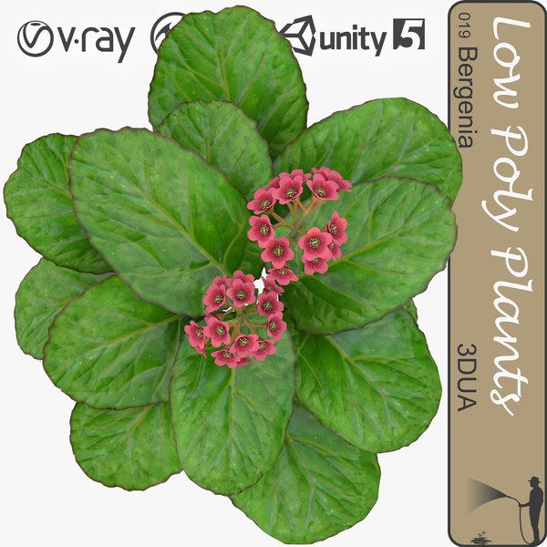 plant 006 zinnia 3d model