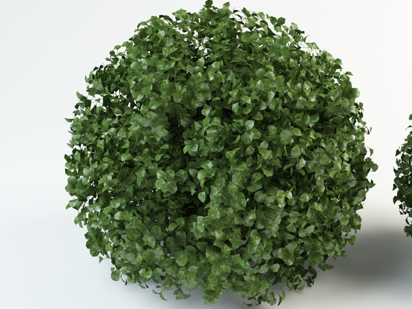 bush shrub 3d model