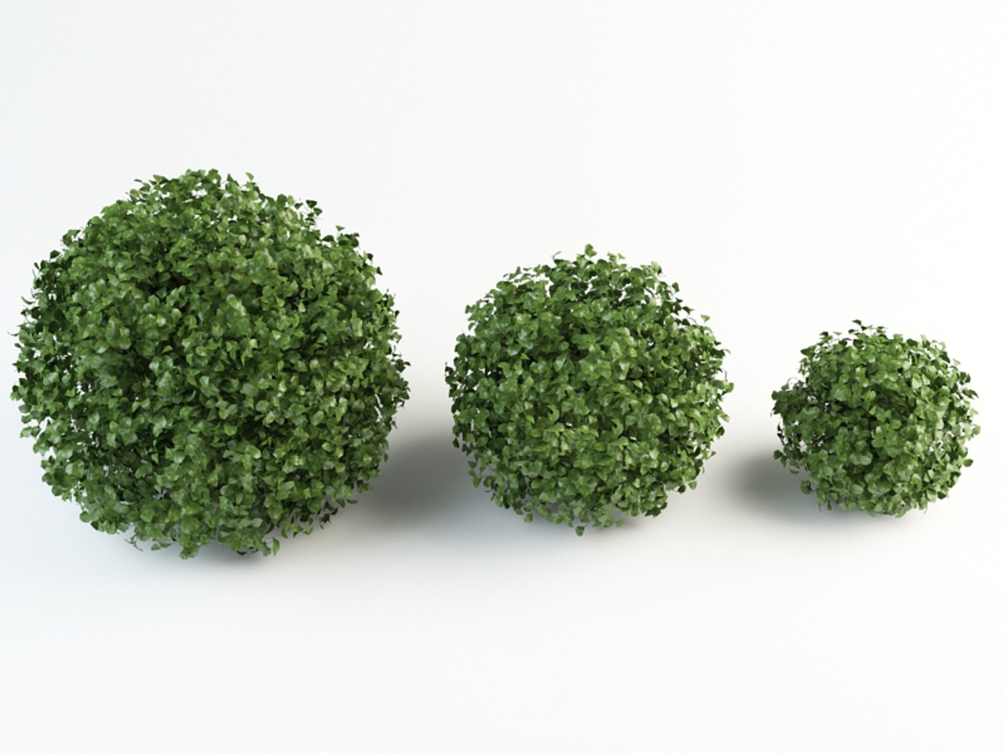 bush shrub 3d model