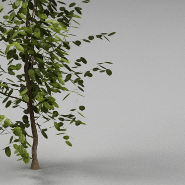 3d tree garden model