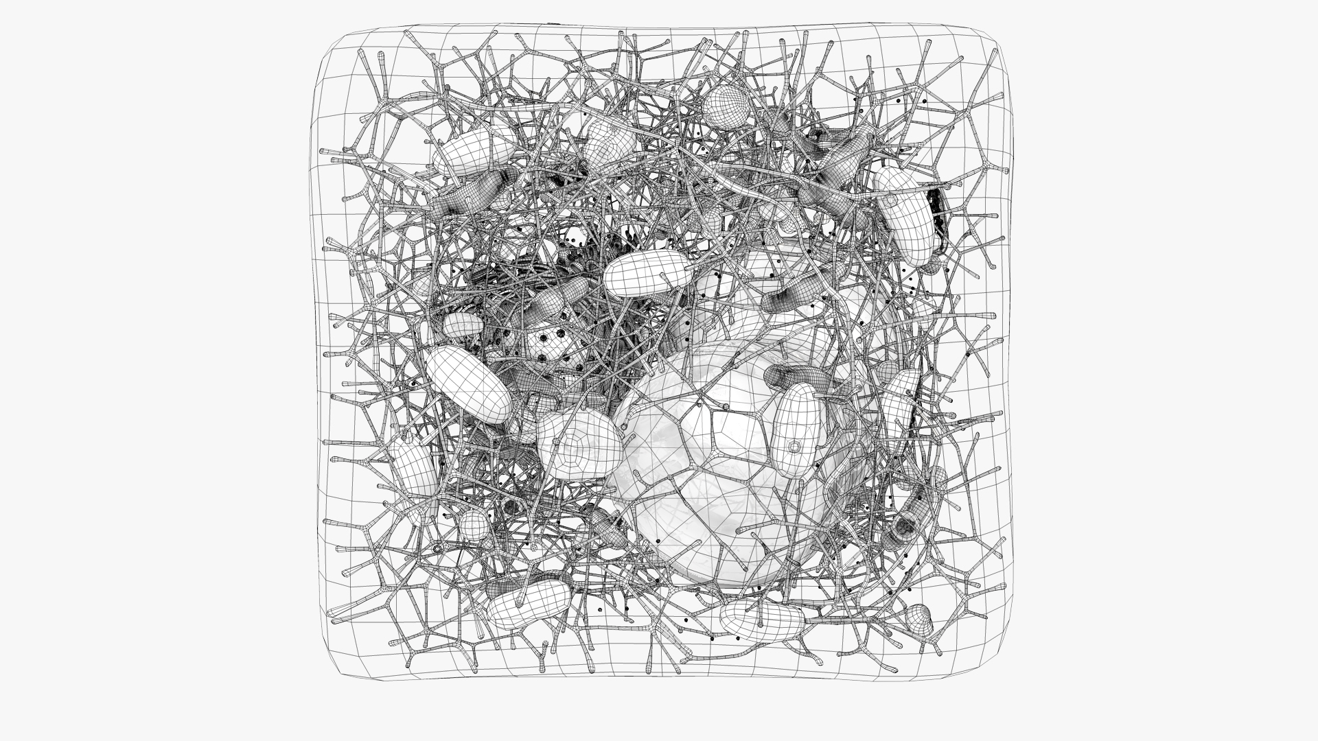 Plant cell 3D model - TurboSquid 1708857