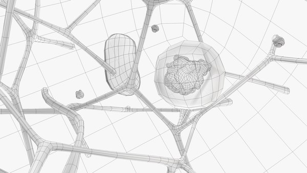 Plant cell 3D model - TurboSquid 1708857