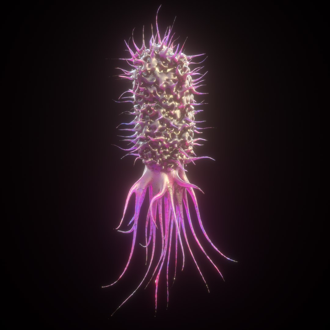 E Coli 3D Model - TurboSquid 1386605