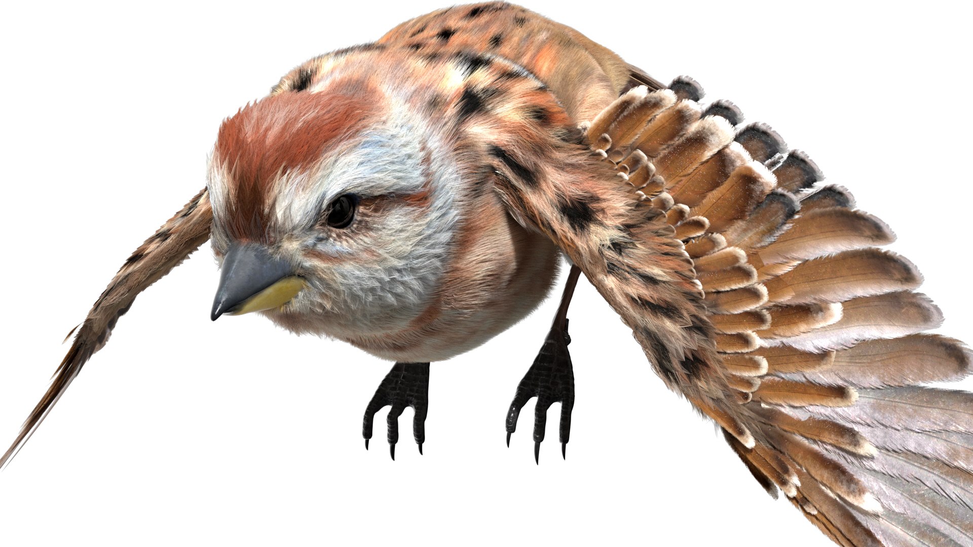 Rigging anatomy 3D model - TurboSquid 1522064