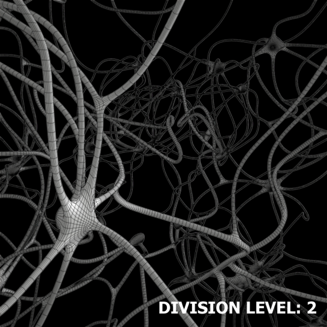 3ds max nerves neurons animation