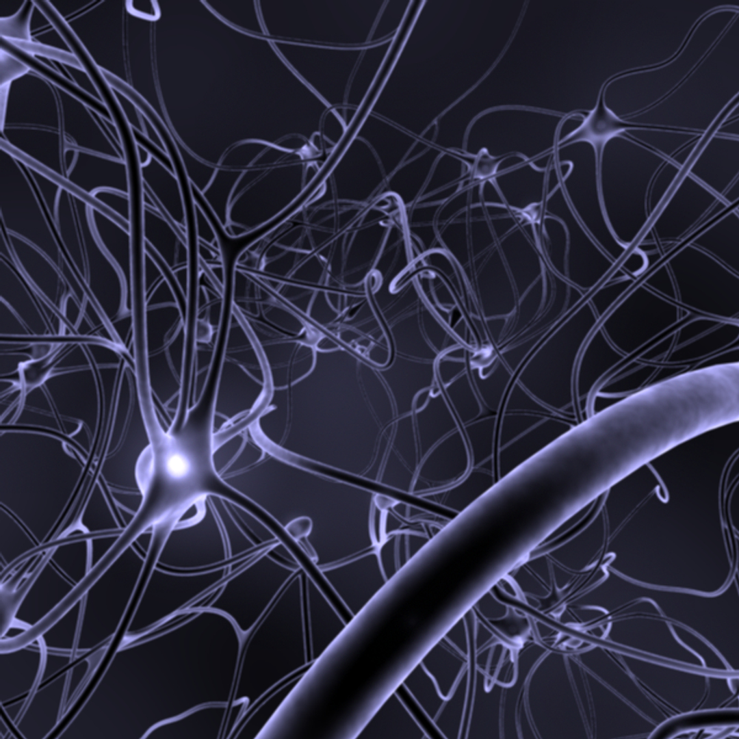 3ds max nerves neurons animation