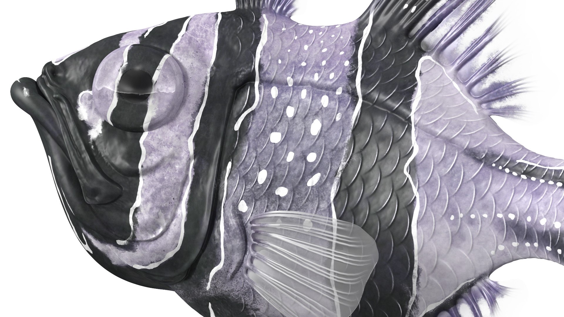 3D Model Longfin Cardinalfish Fish Fauna - TurboSquid 1699022