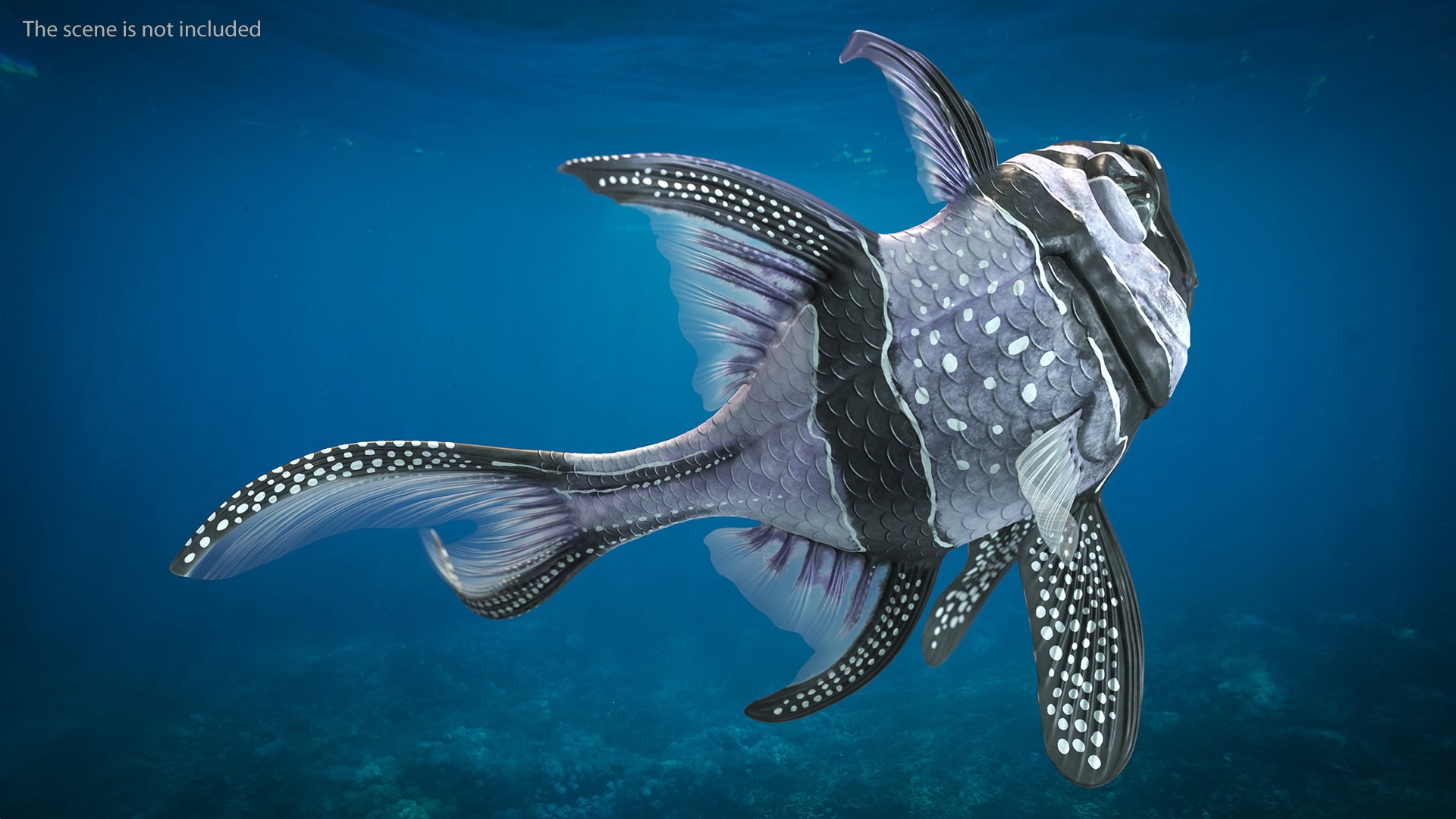 3D model longfin cardinalfish fish fauna - TurboSquid 1699022