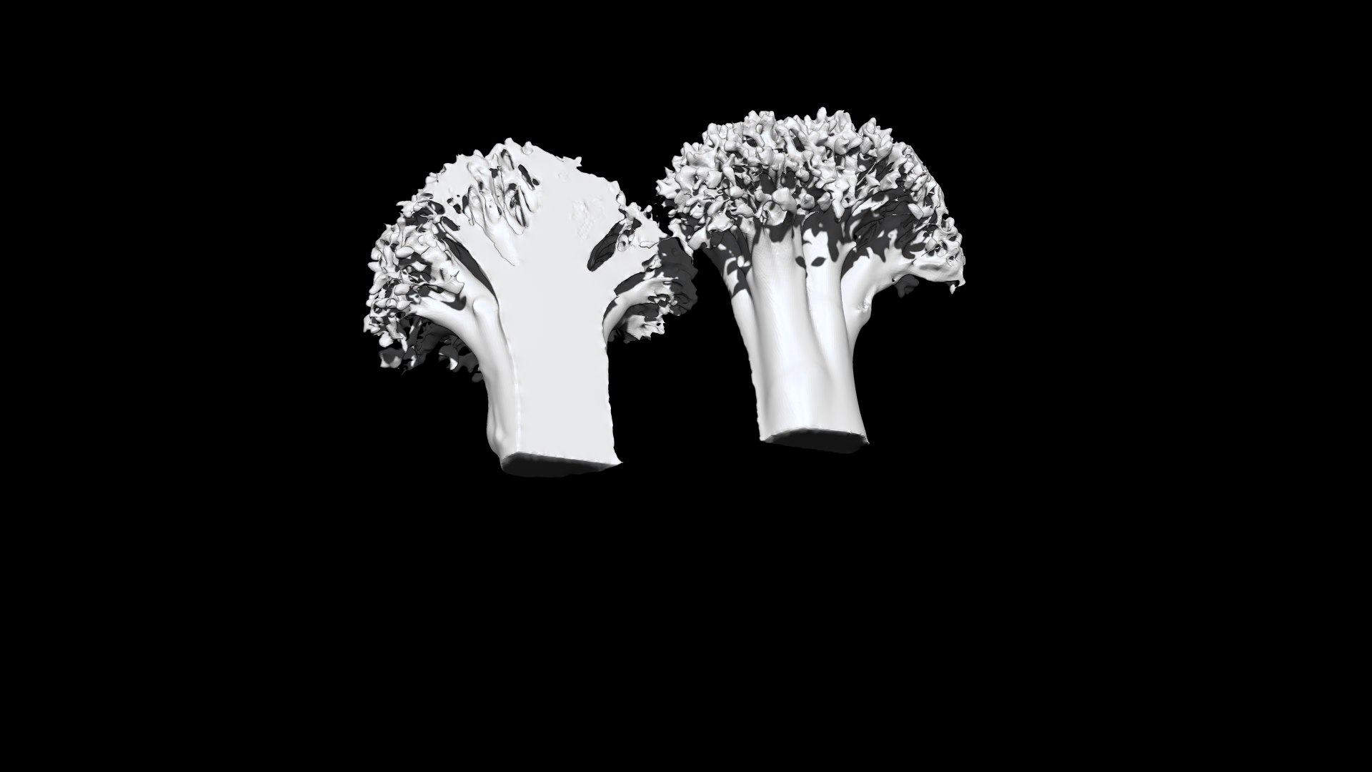 Broccoli Cut 3D CT Scan Model 7 3D Model - TurboSquid 1886471