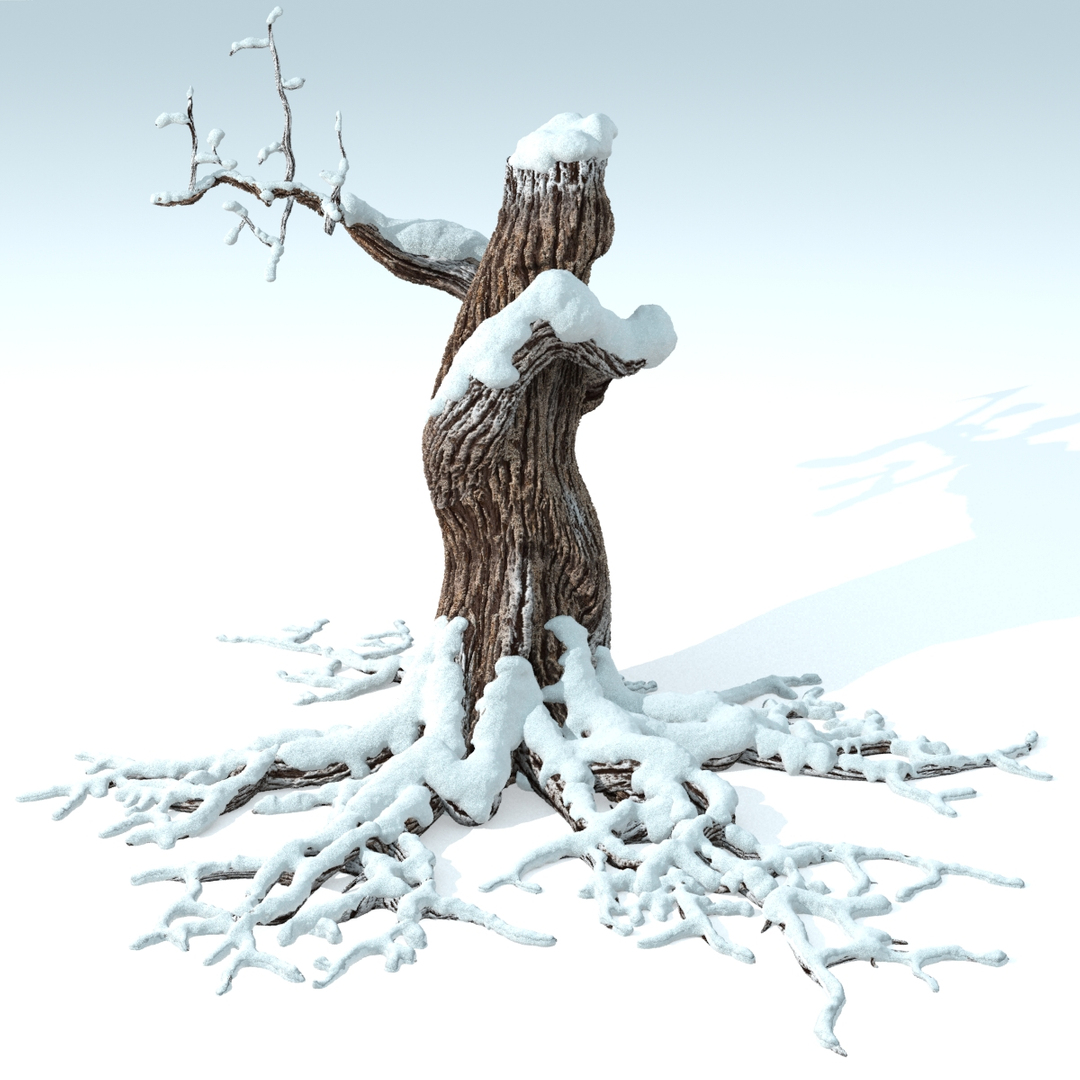Max Dry Tree Snow