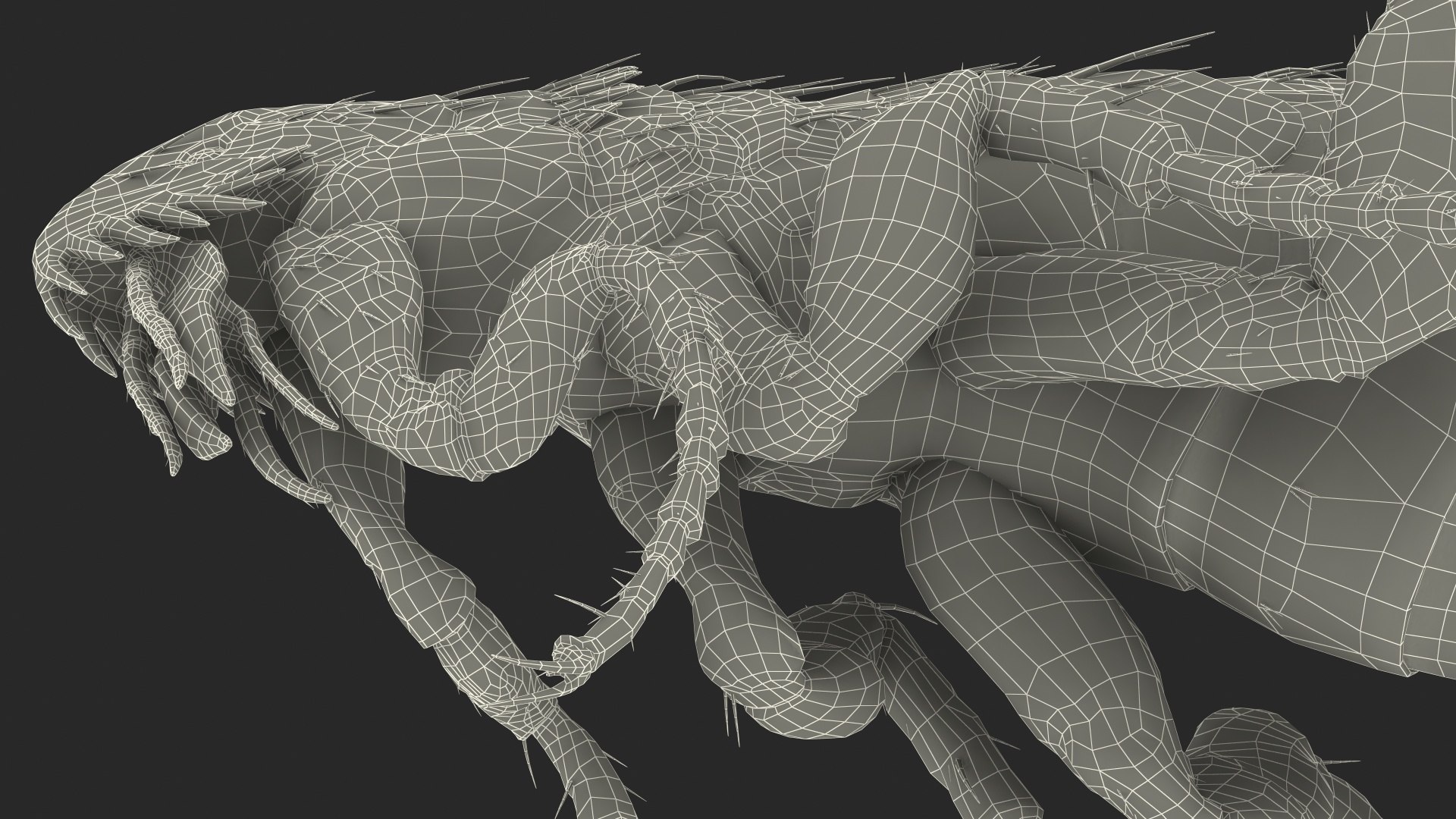 3D flea insect rigged model - TurboSquid 1585334