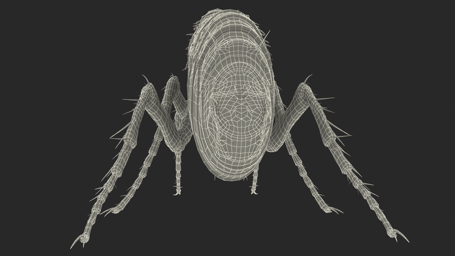 3D flea insect rigged model - TurboSquid 1585334