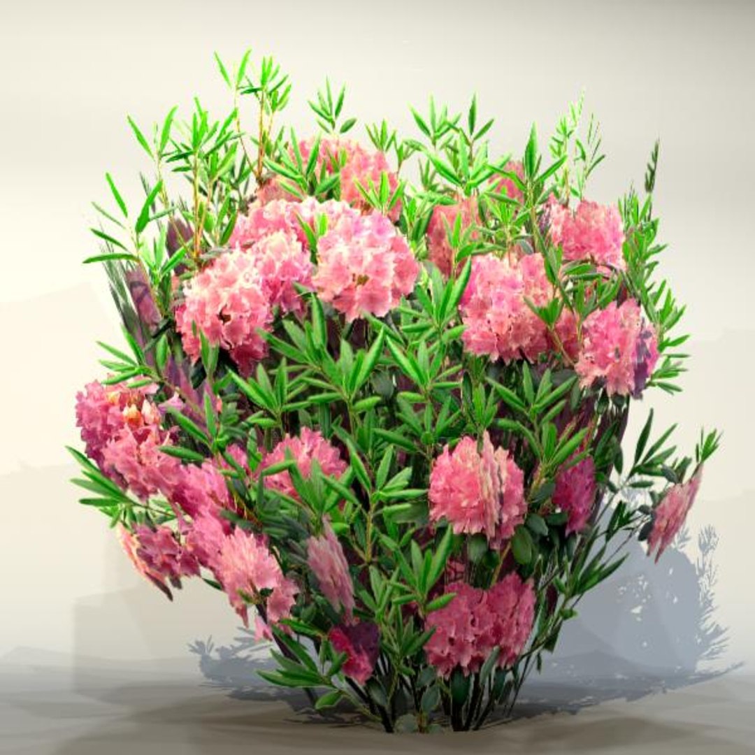 3ds max bush pc ps3