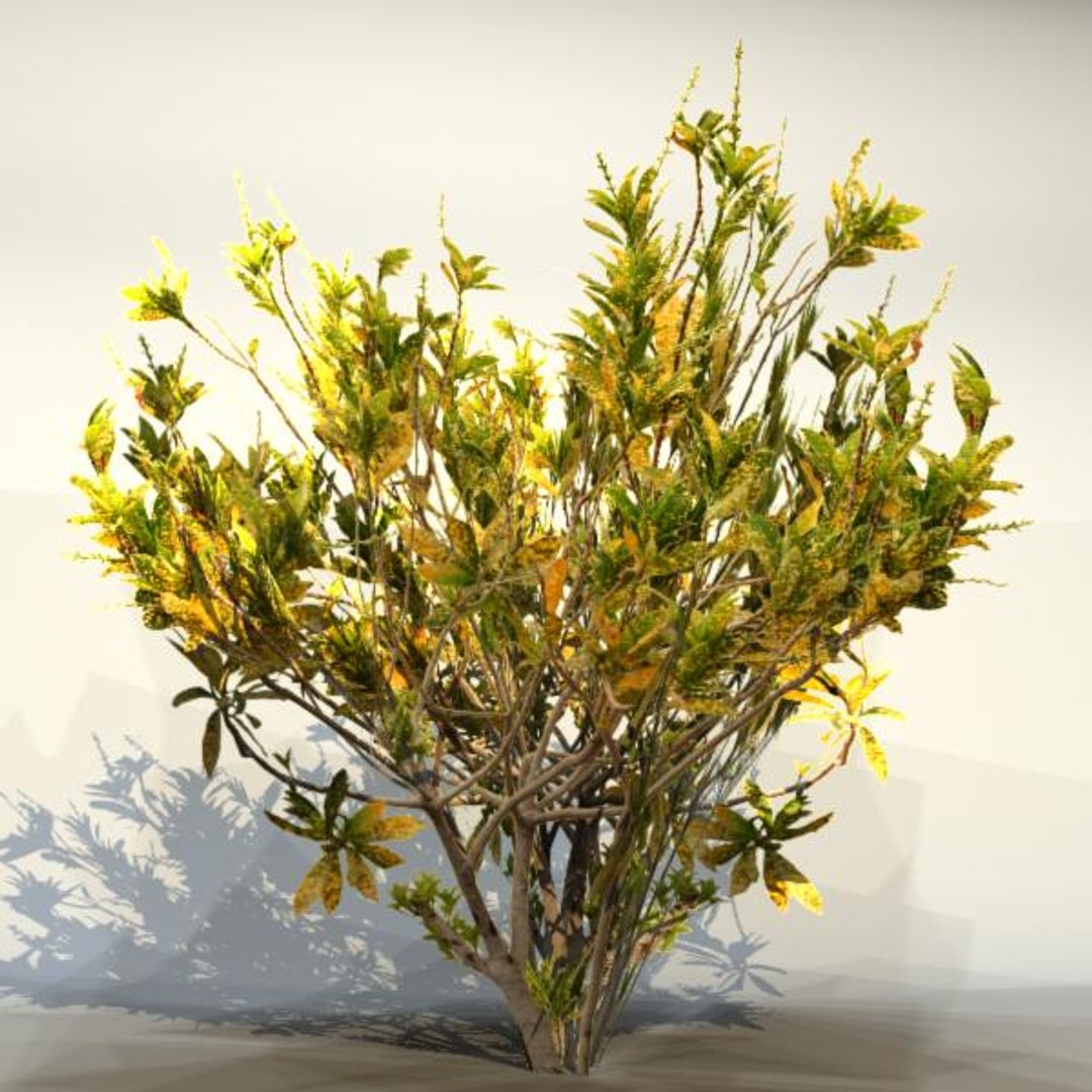 3ds max bush pc ps3