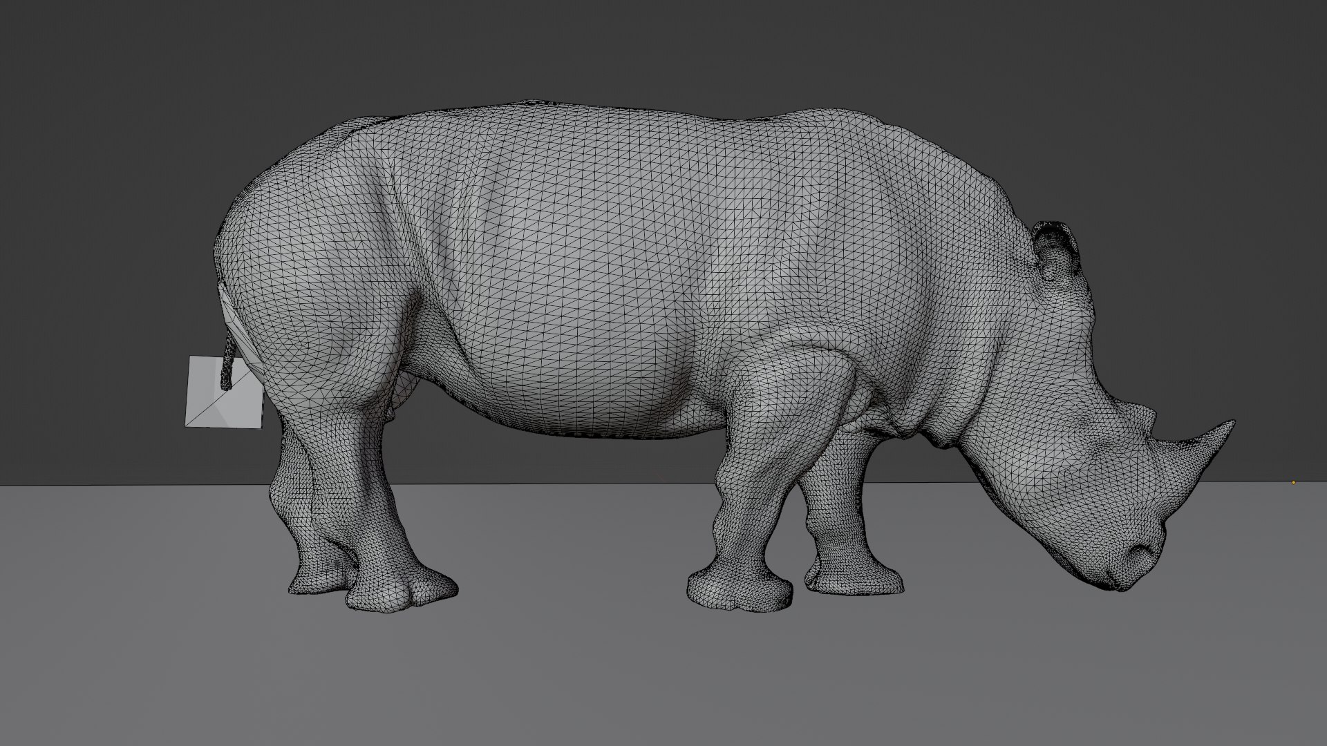 3D Rhino Animated 3D Model - TurboSquid 2173142