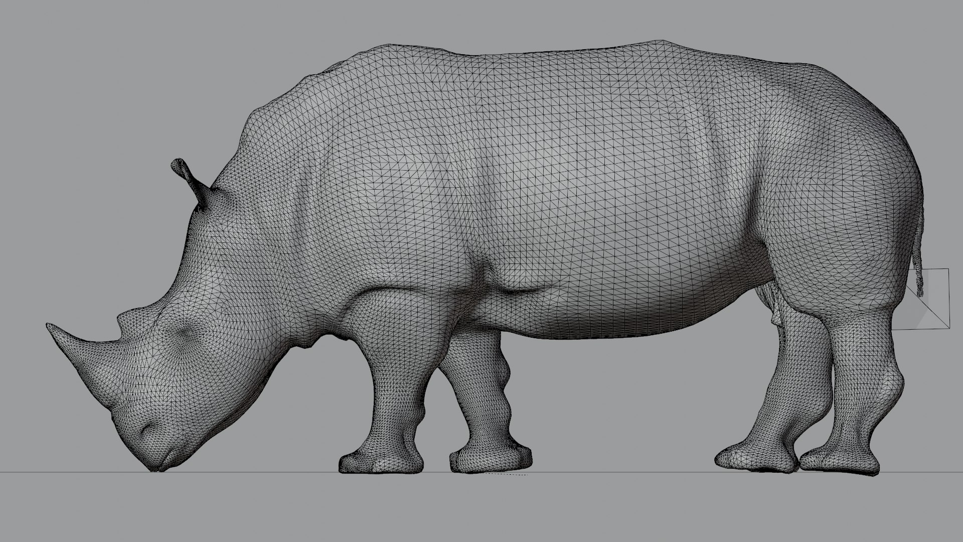 3D Rhino Animated 3D Model - TurboSquid 2173142