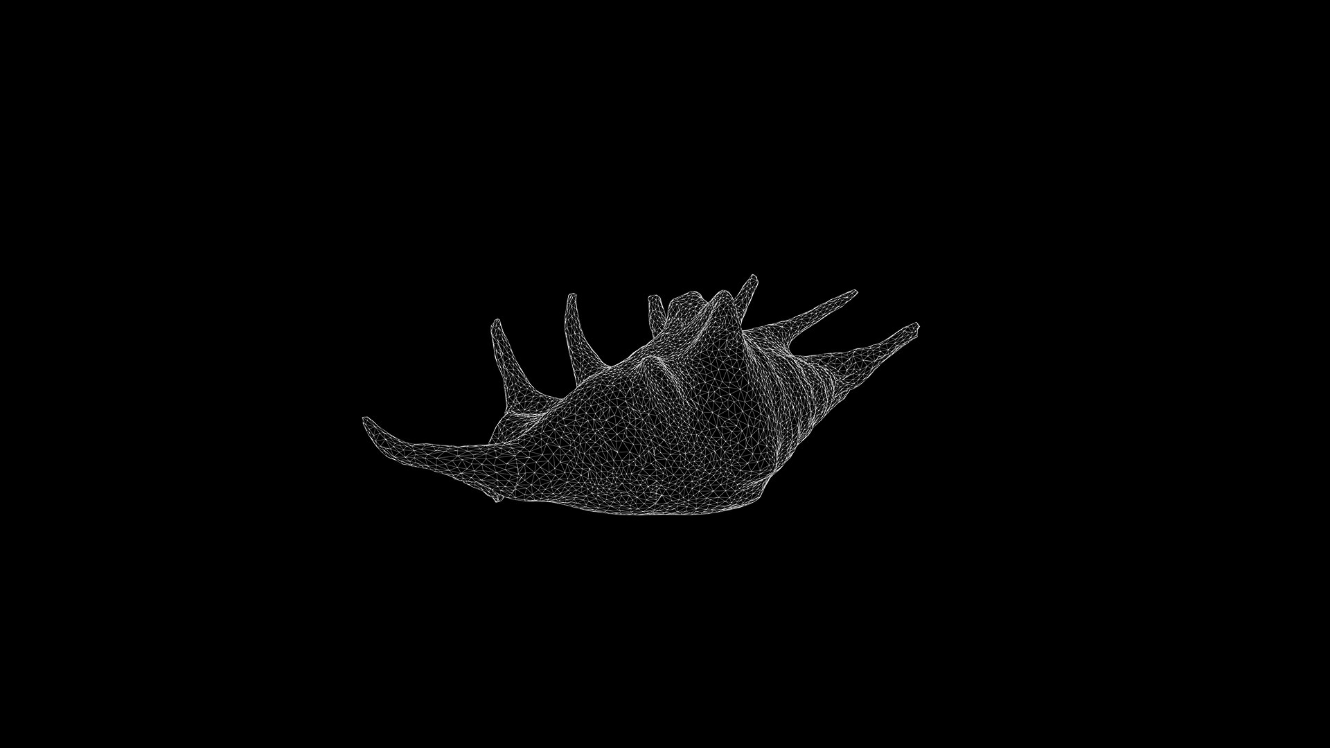 Anydrafts Sea Snail 04 3D Model - TurboSquid 2321872