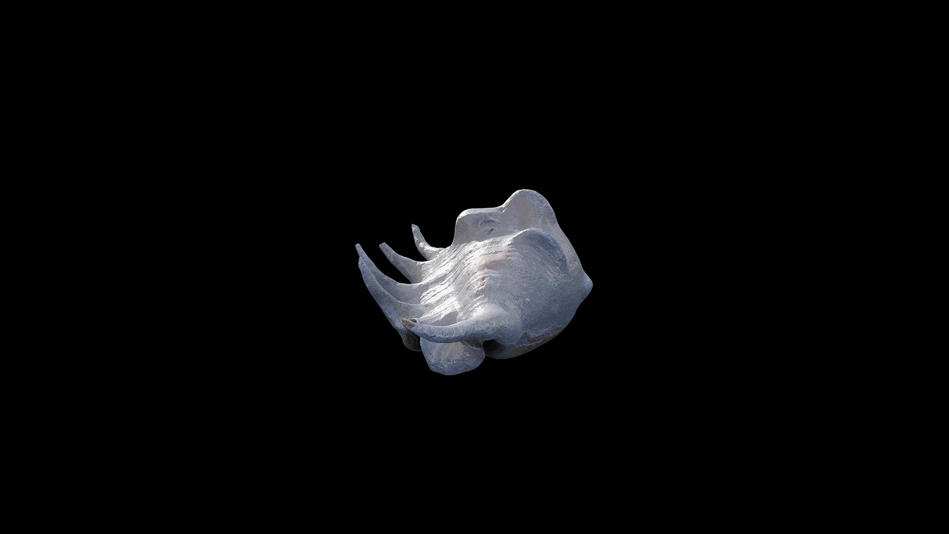 Anydrafts Sea Snail 04 3D Model - TurboSquid 2321872