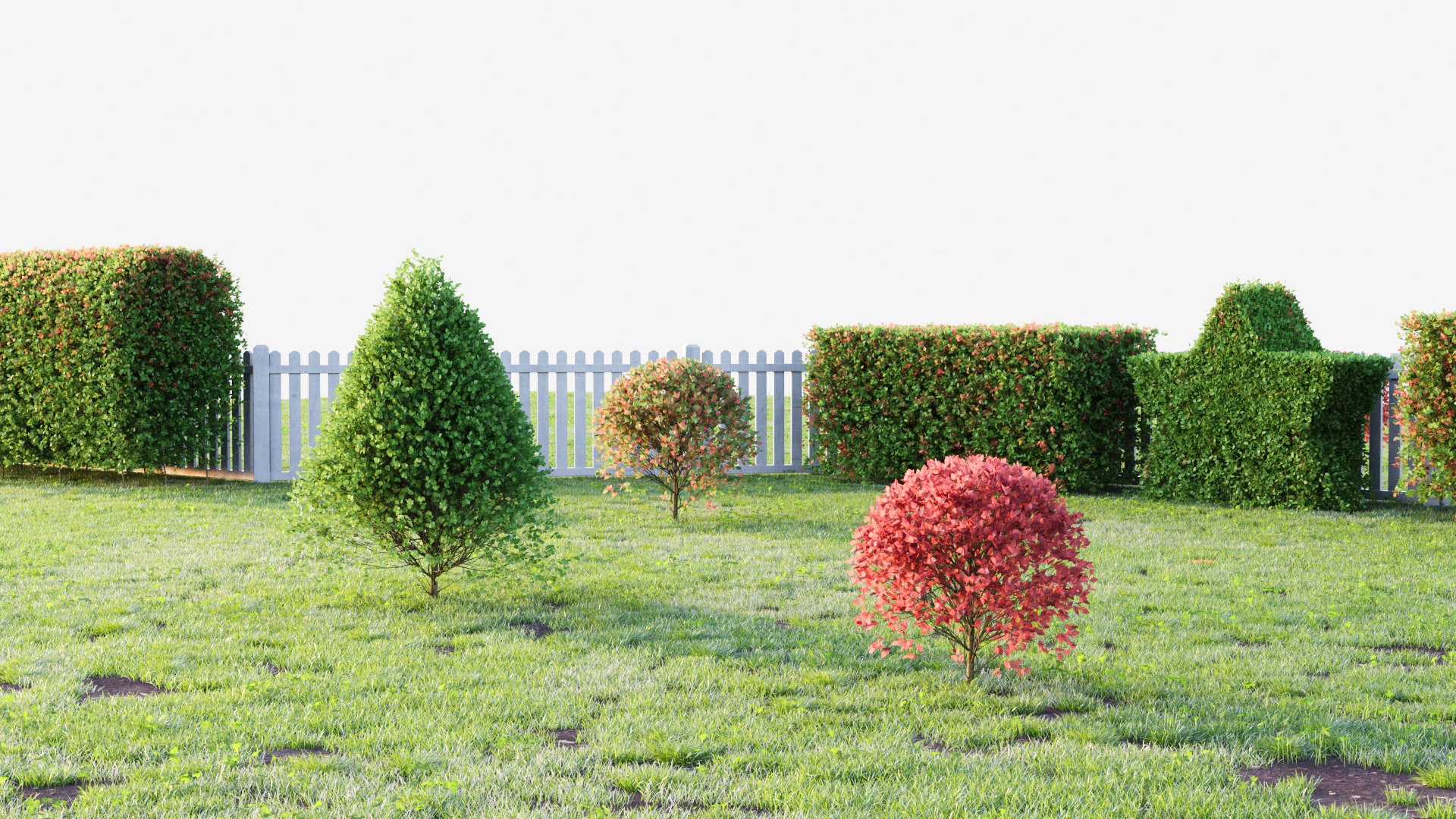 3D Hedge - TurboSquid 1876429