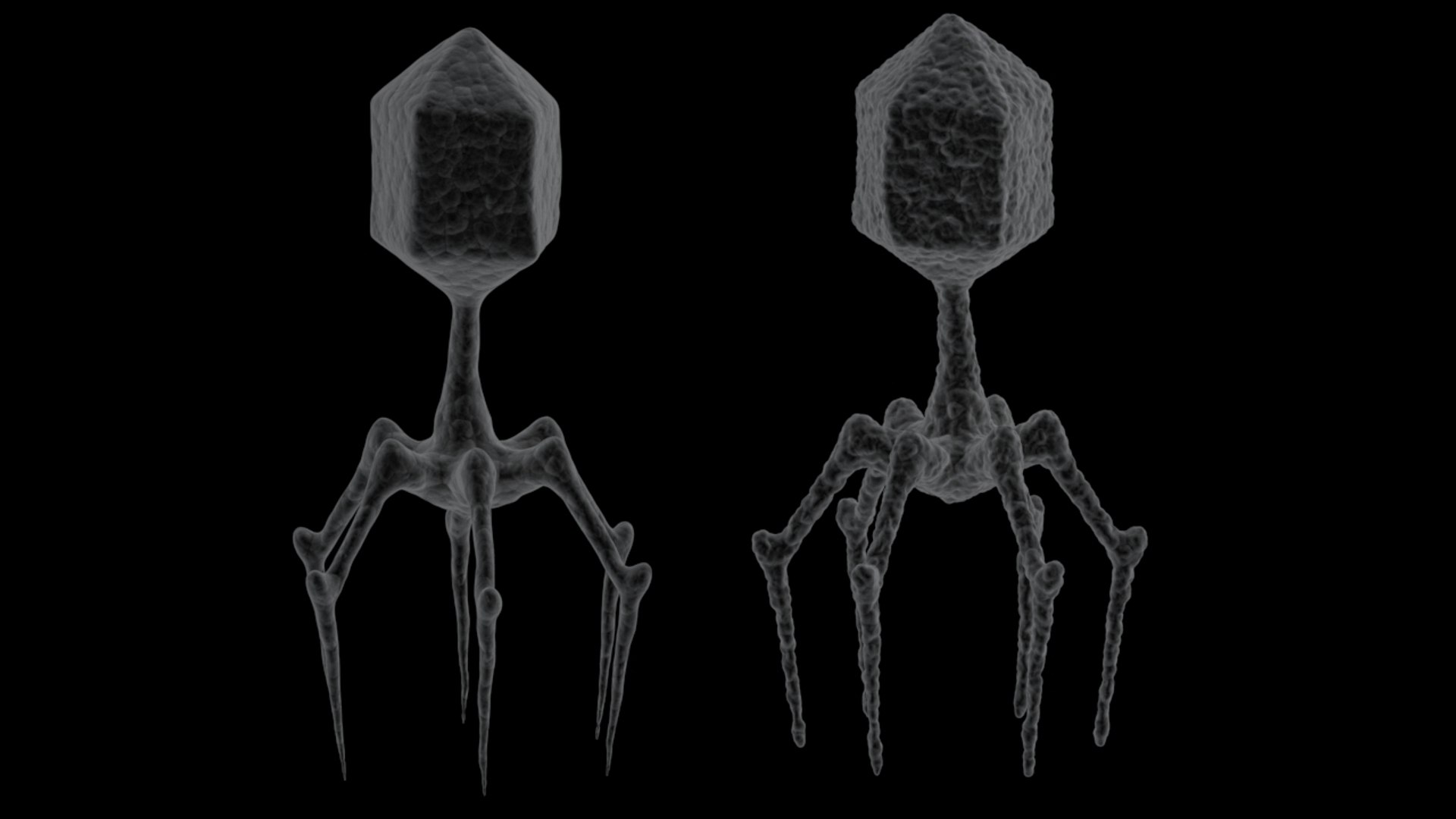 3D 2 bacteriophage model - TurboSquid 1310493