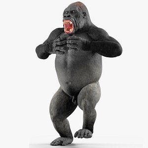 3D Gorilla Models - Browse & Download Formats - TurboSquid