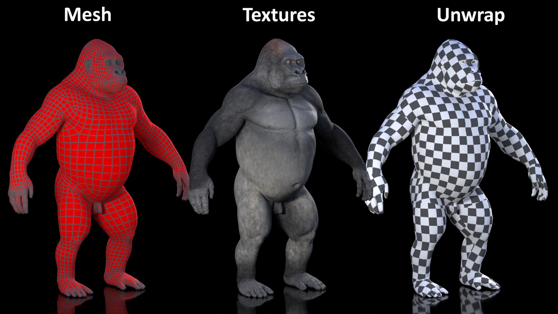 Western Gorilla Rigged For Maya 3D Model - TurboSquid 2286844
