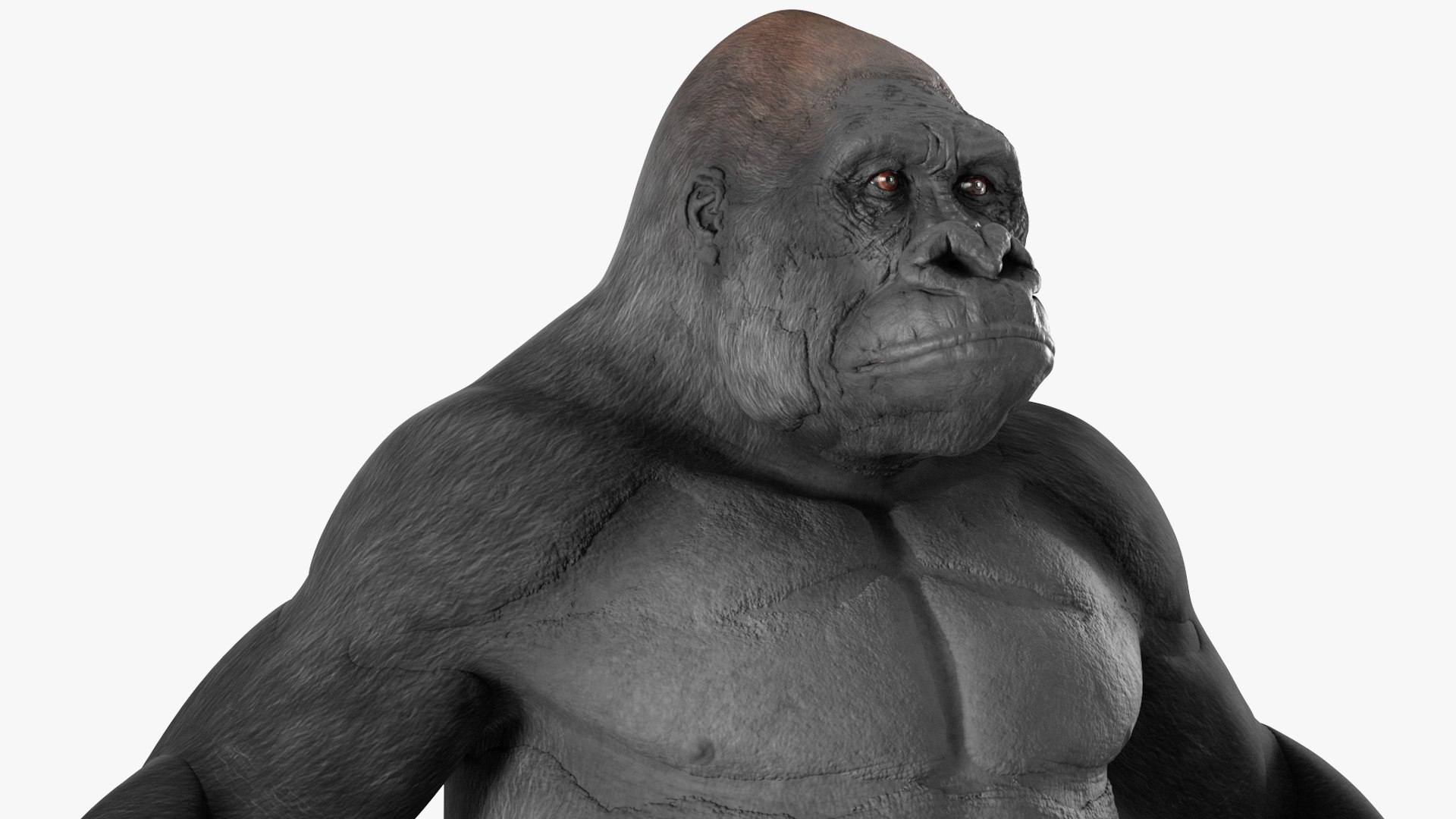 Western Gorilla Rigged For Maya 3D Model - TurboSquid 2286844
