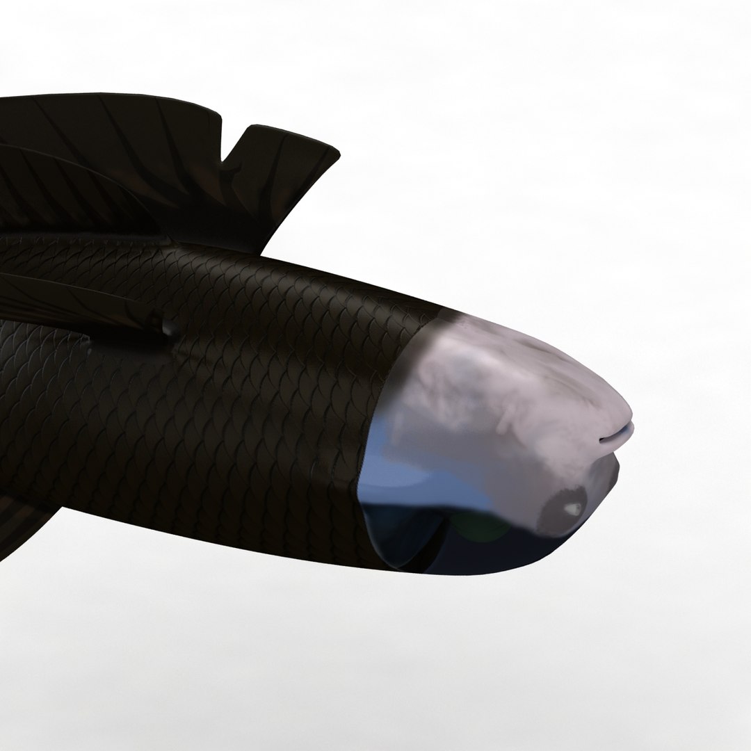 Barrel-eye Fish 3d Max