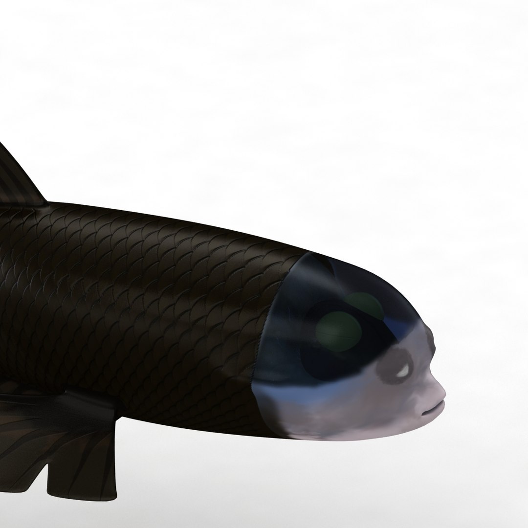 Barrel-eye Fish 3d Max