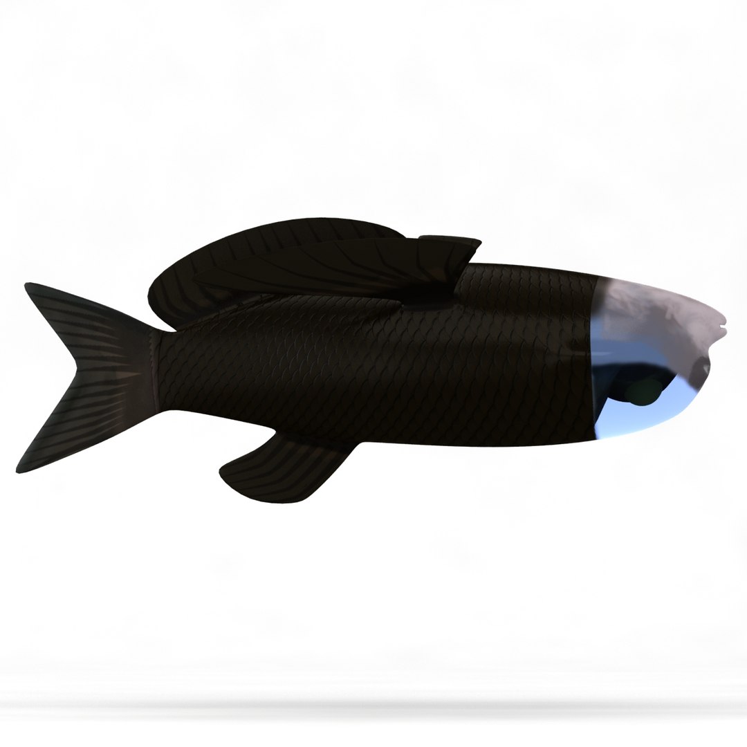 Barrel-eye Fish 3d Max