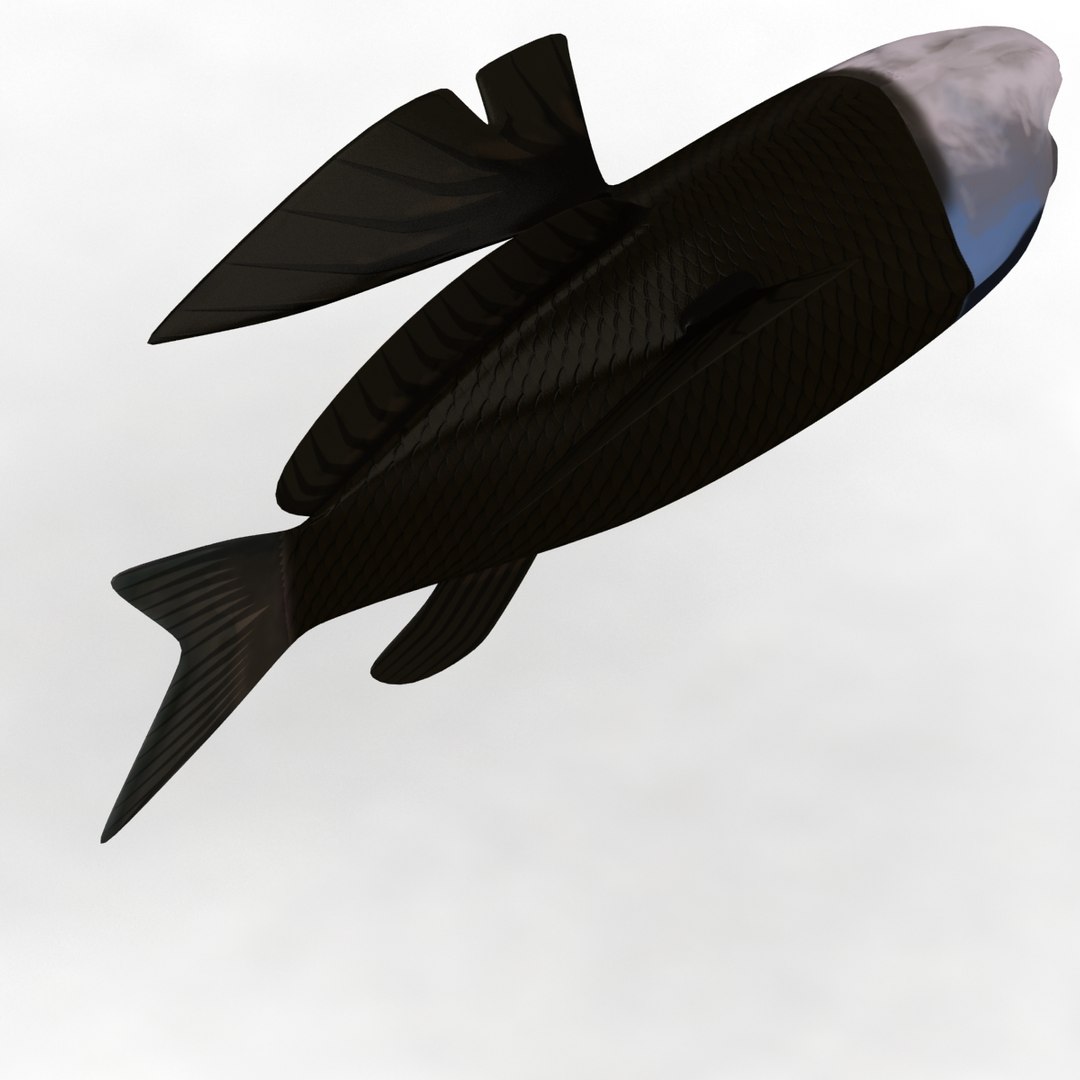 Barrel-eye Fish 3d Max