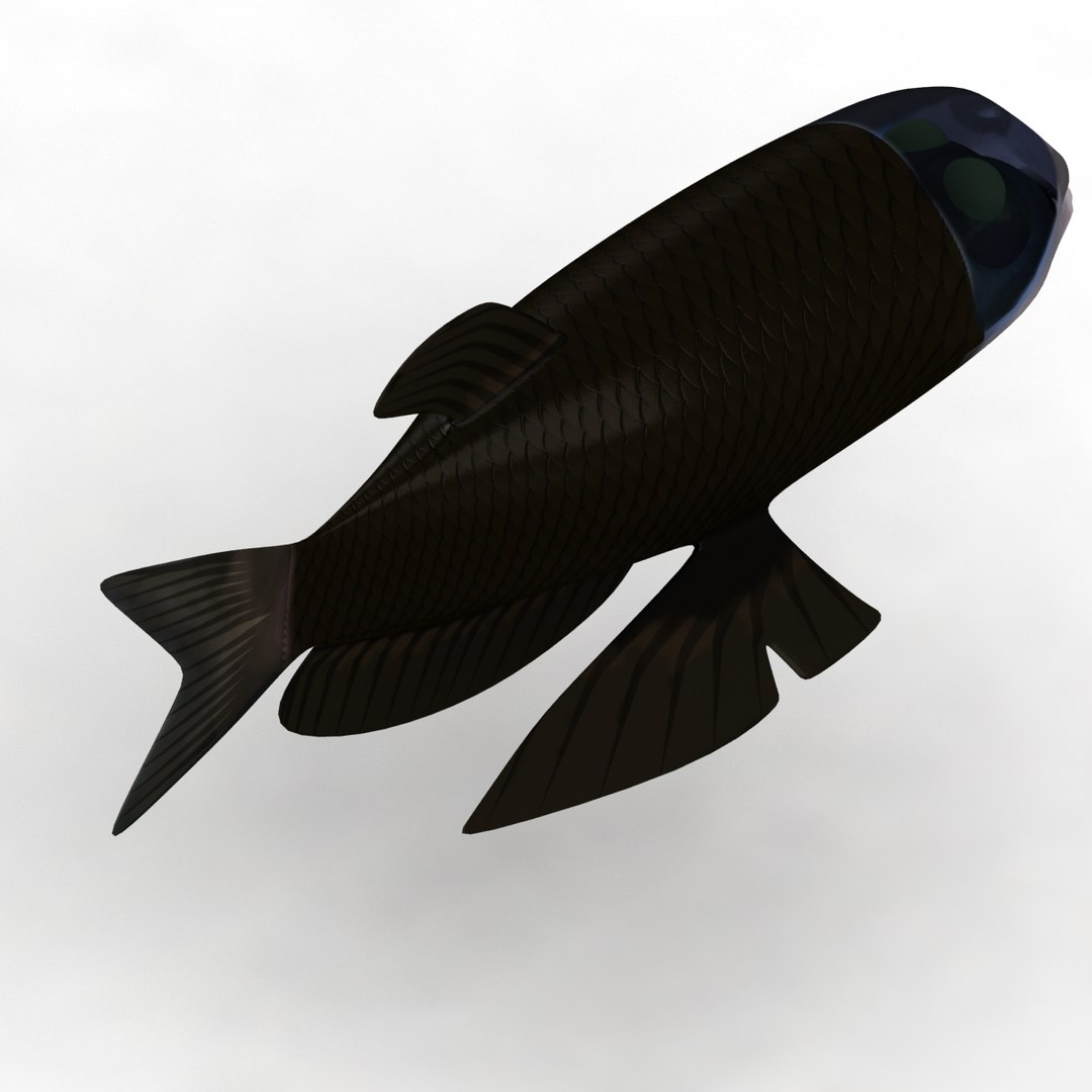 Barrel-eye Fish 3d Max