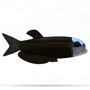 3D Barreleye Models | TurboSquid