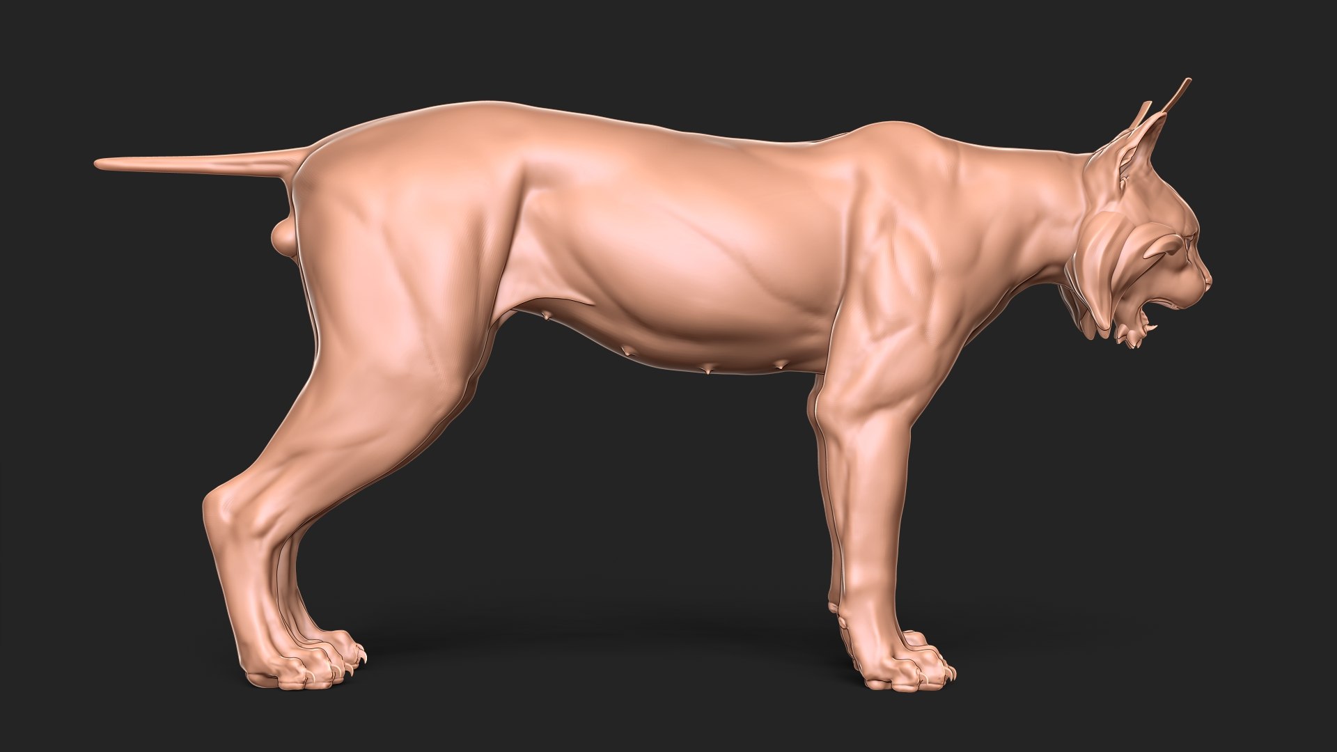 Eurasian Lynx Primary Forms Zbrush Sculpt 3D Model - TurboSquid 1817412