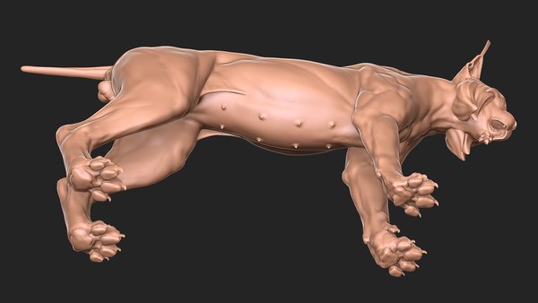 Eurasian Lynx Primary Forms Zbrush Sculpt 3D model - TurboSquid 1817412