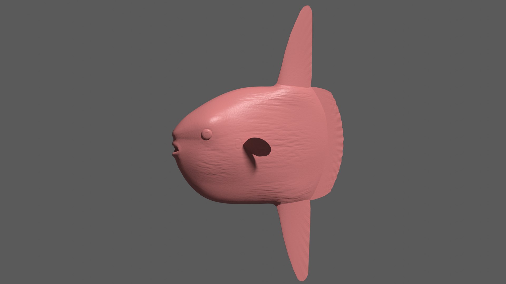 Ocean Sunfish 3D - TurboSquid 1748374