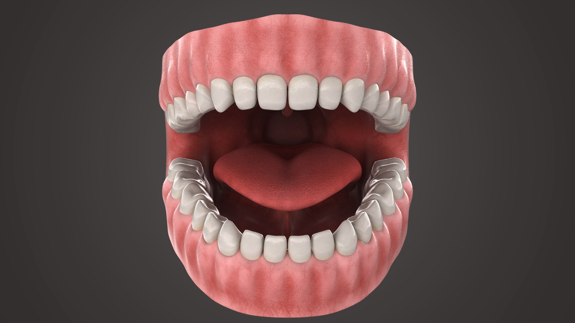 Human Mouth 3D Model - TurboSquid 1547789