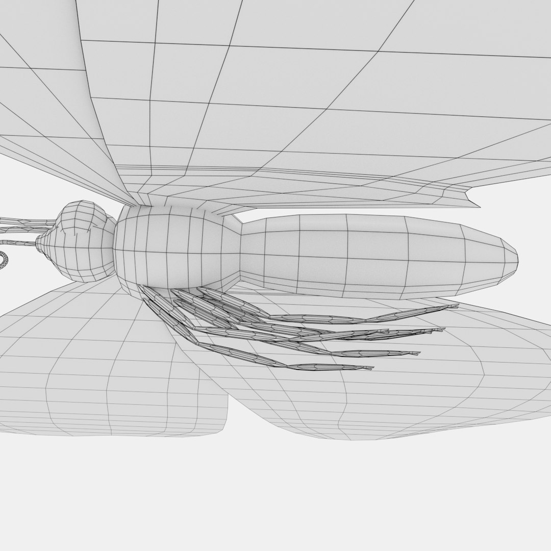 3D Butterfly Model - TurboSquid 1186551