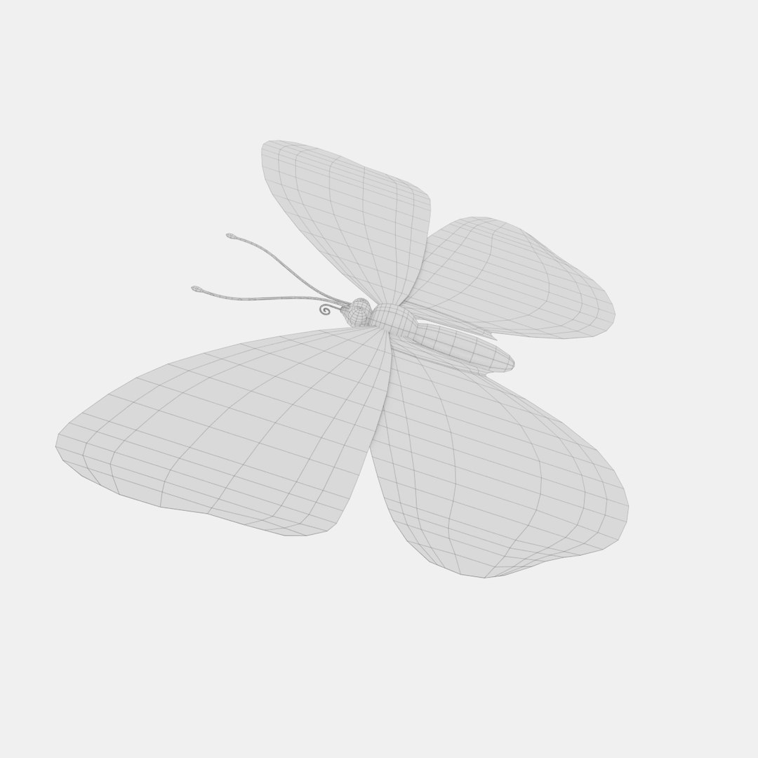 3D Butterfly Model - TurboSquid 1186551