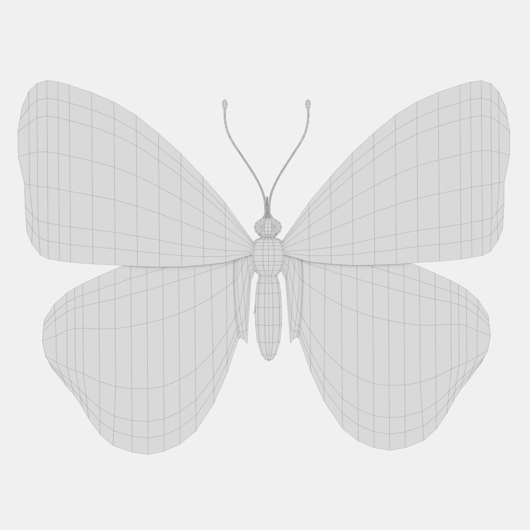 3D Butterfly Model - TurboSquid 1186551