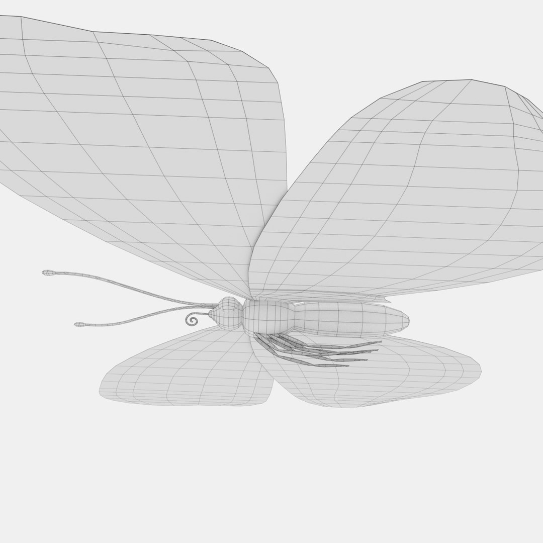 3D Butterfly Model - TurboSquid 1186551