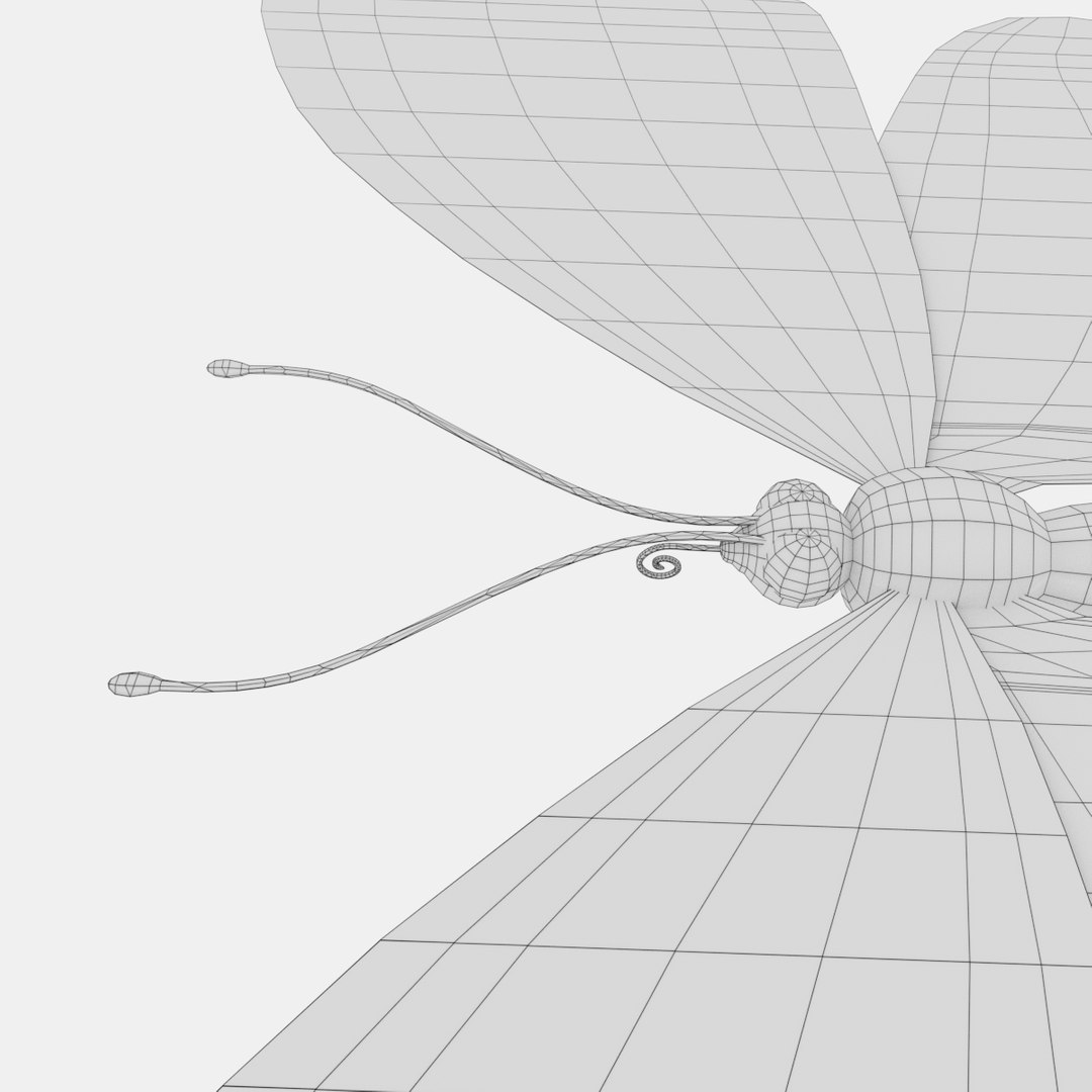 3D Butterfly Model - TurboSquid 1186551