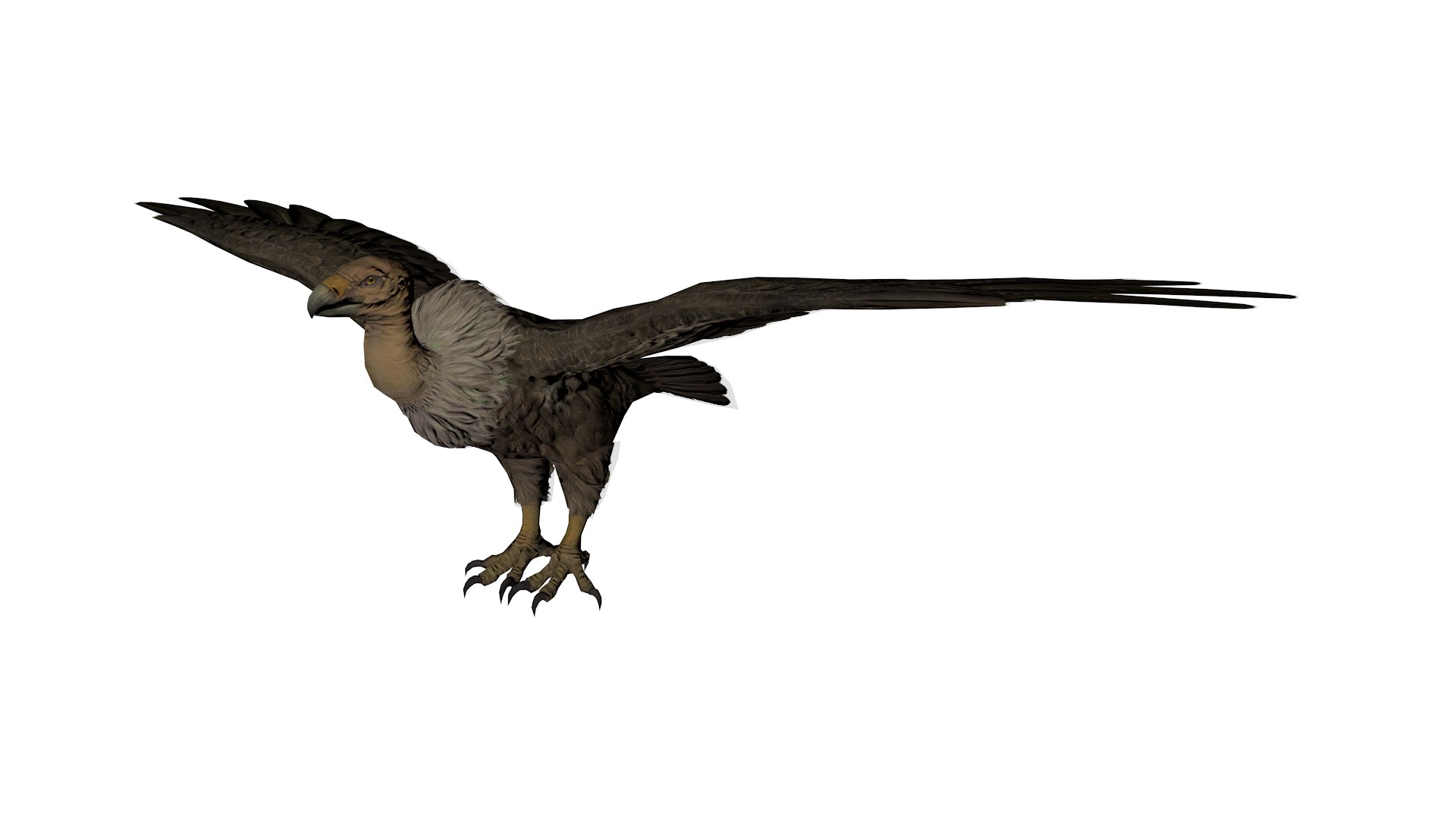 Flying Bird 3D Model - TurboSquid 2374065