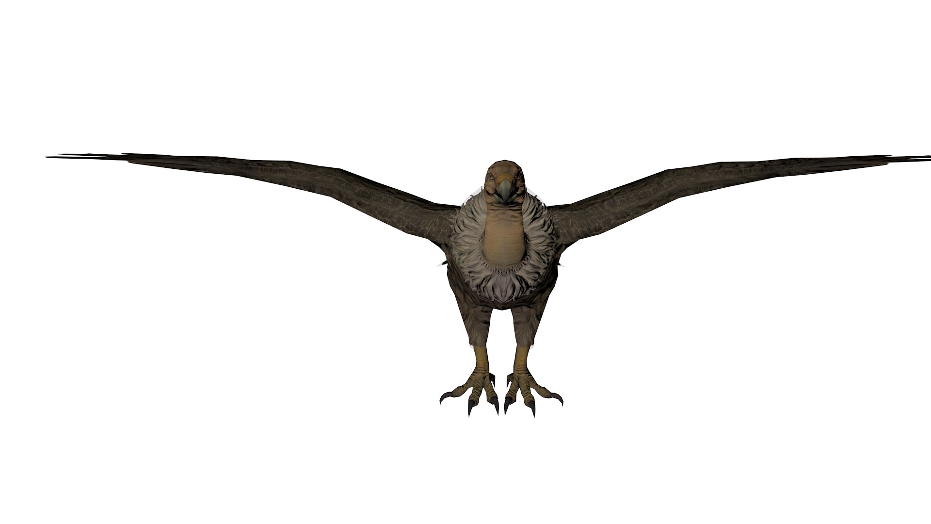 Flying Bird 3D Model - TurboSquid 2374065