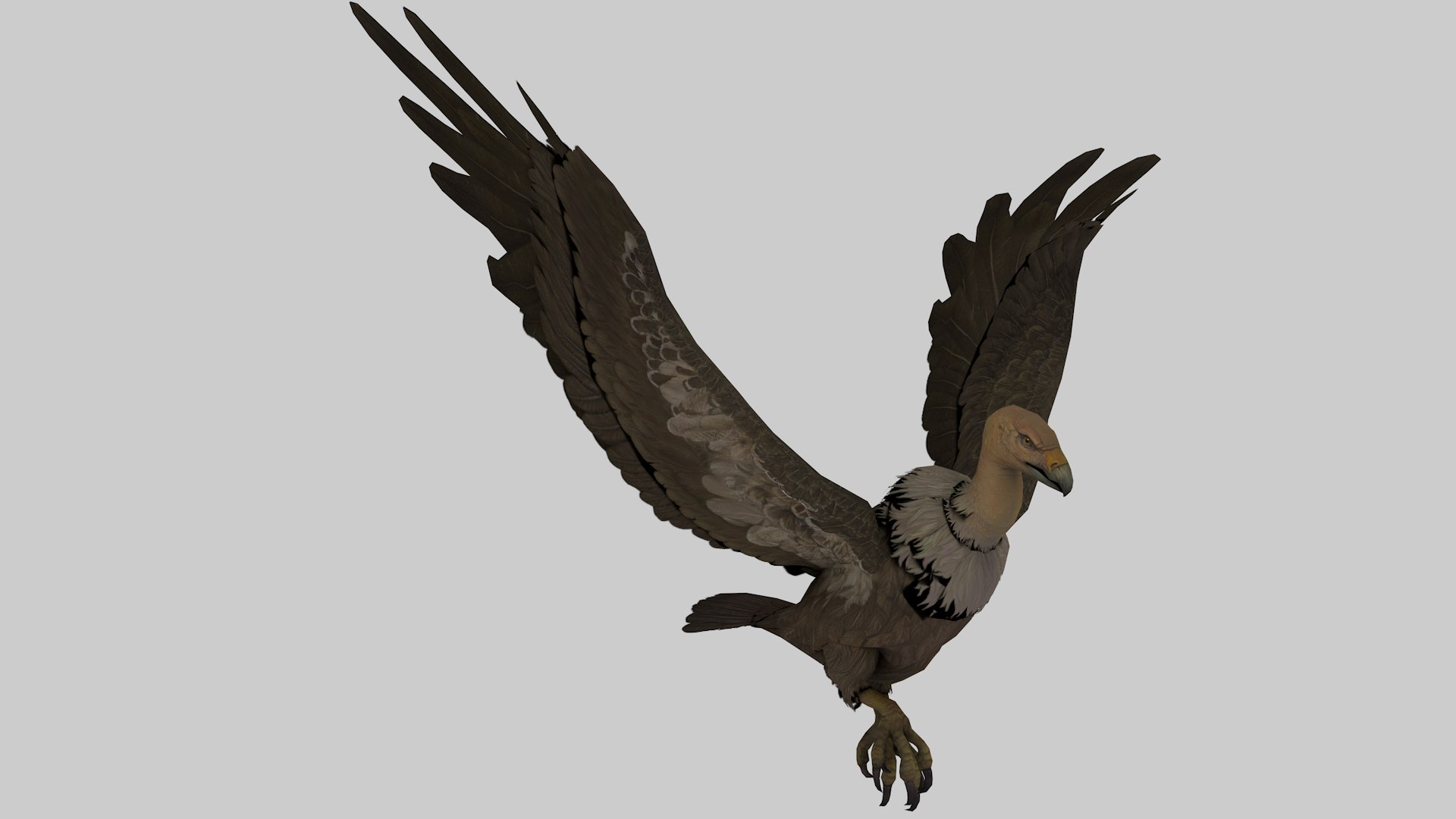 Flying Bird 3D Model - TurboSquid 2374065