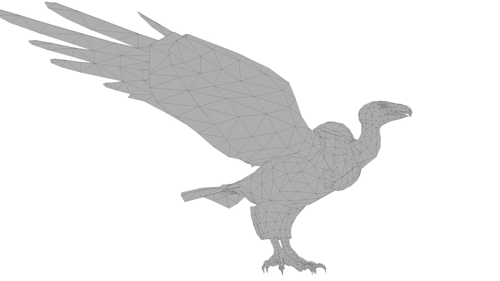 Flying Bird 3D Model - TurboSquid 2374065